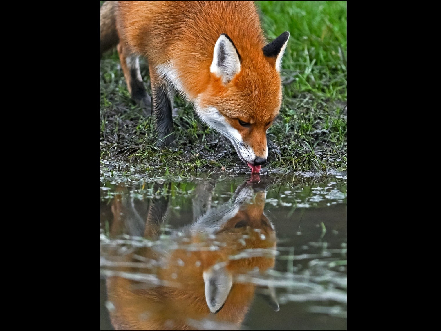 Nelson Camera Club News 2022