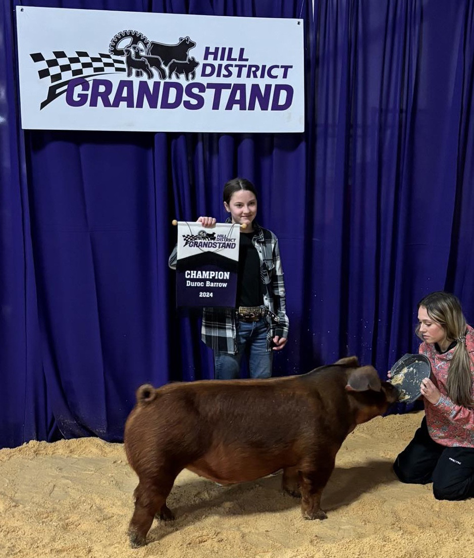 Chad Hill Durocs Boar Page