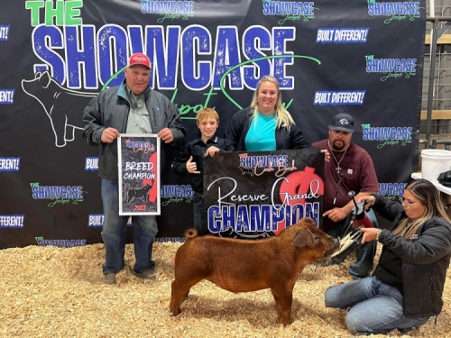 Chad Hill Durocs Boar Page