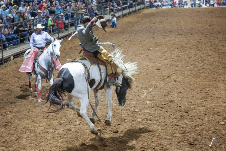 Home [www.ararodeo.com]