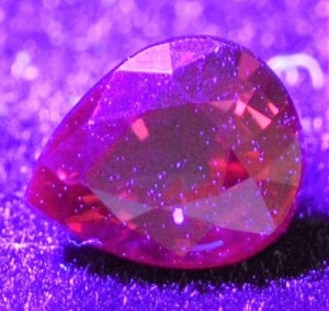 Fluorescence in Relation to Magnetism