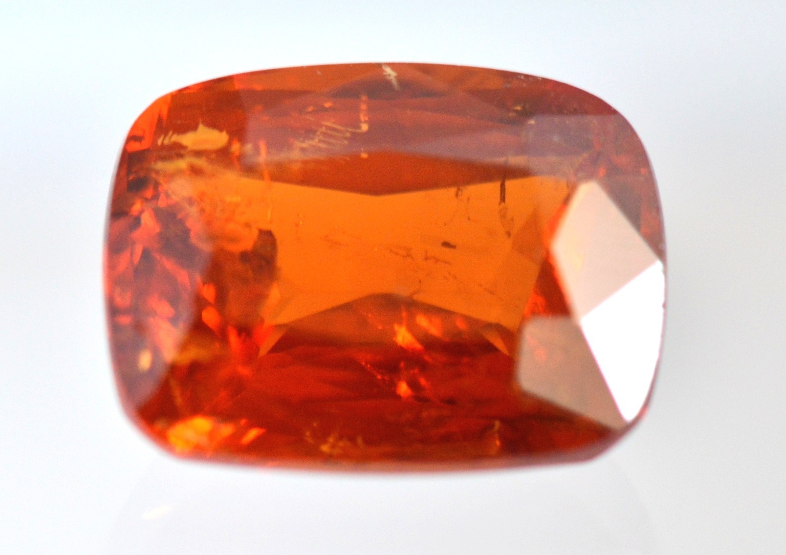 Understanding Garnets through Magnetism