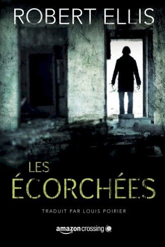 Discover the World of Bestselling Author Robert Ellis | Engaging ...