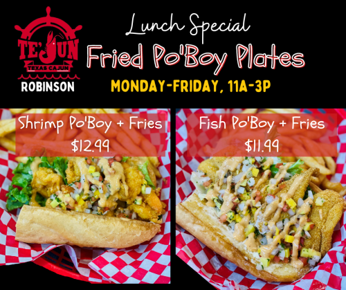 Home [www.tejunthetexascajun.com]