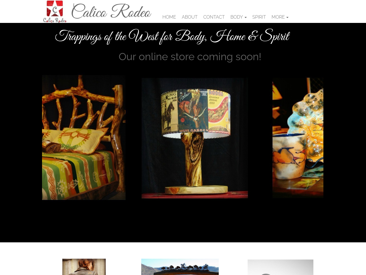 Explore Websites Created by WebStarts Users | WebStarts