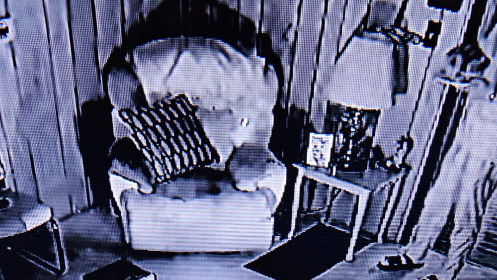 Dave Spinks Paranormal Investigator