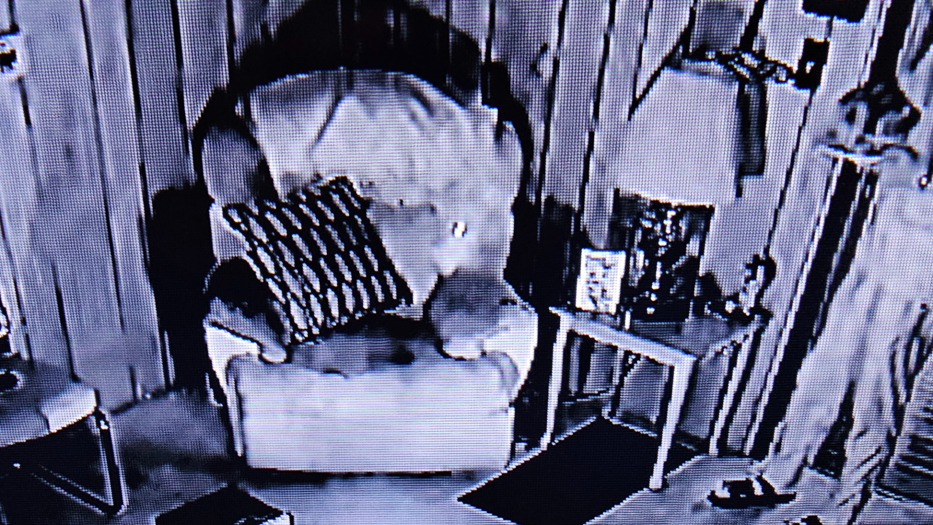 Dave Spinks Paranormal Investigator