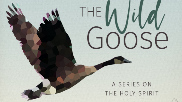 Spiritual inspiration from ADORE during lockdown