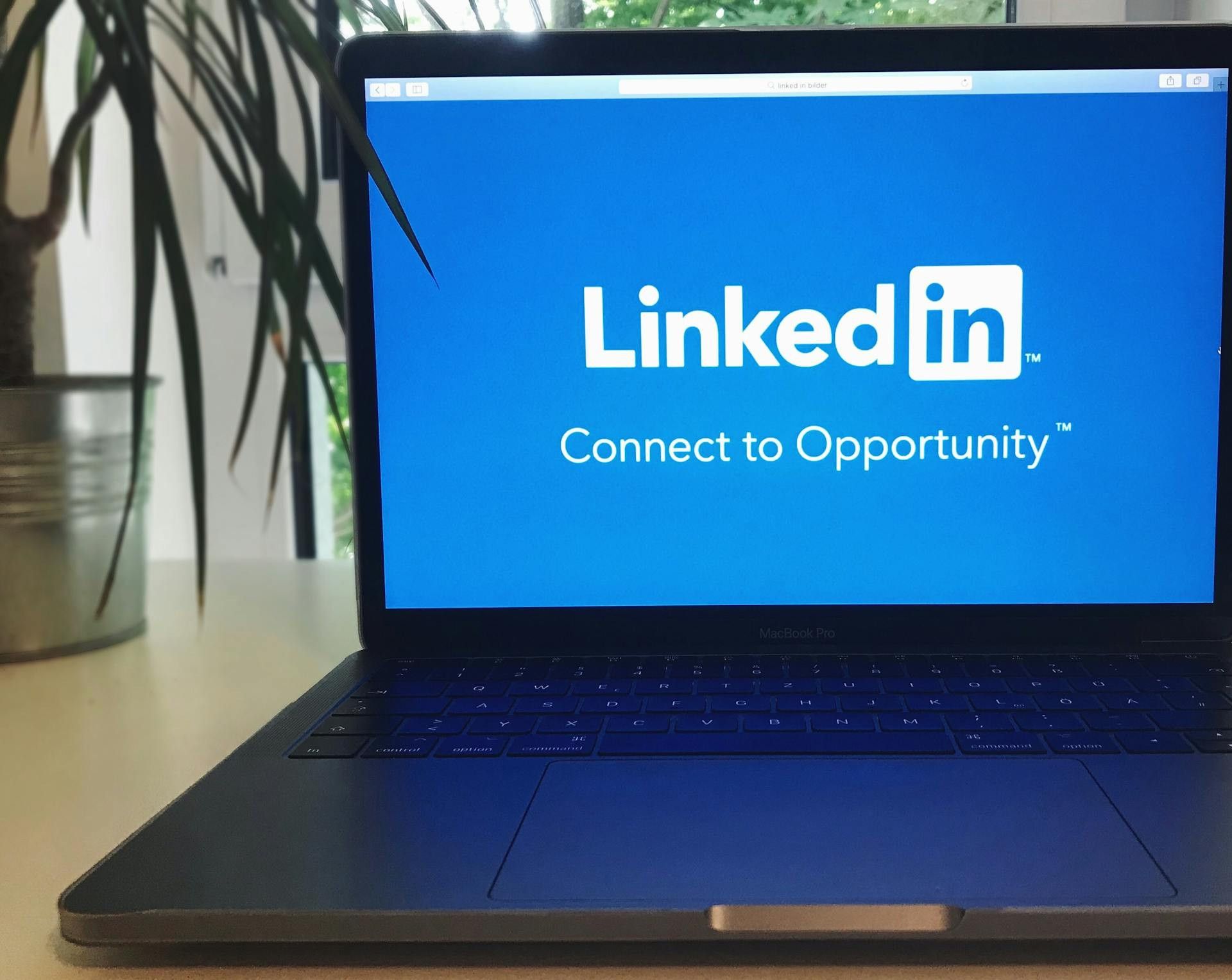 Harnessing the Power of LinkedIn: 4 Essential Insights.