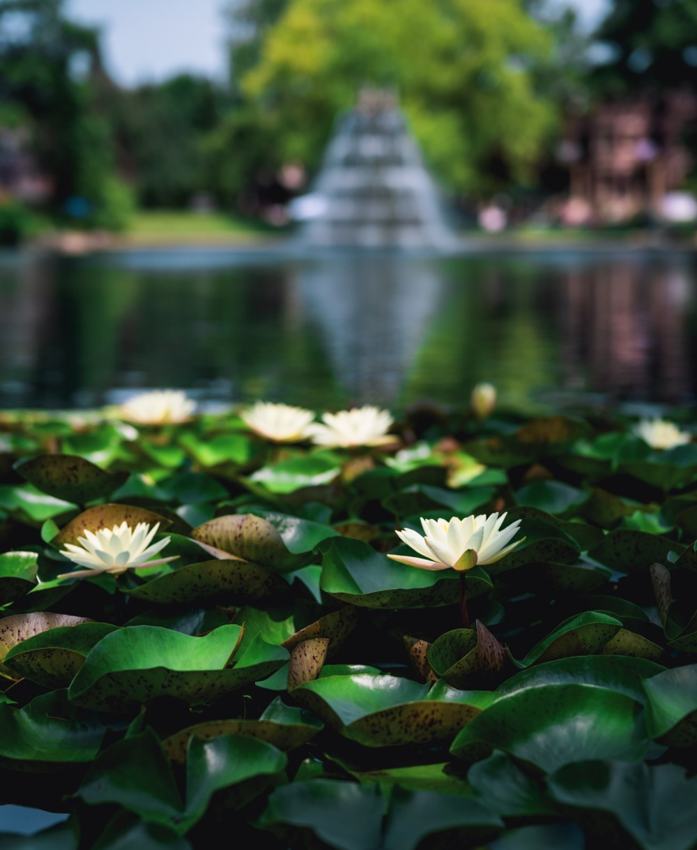 Rowena Hayes Holistic Therapies