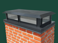 Burnopp Metal Chimney Caps
