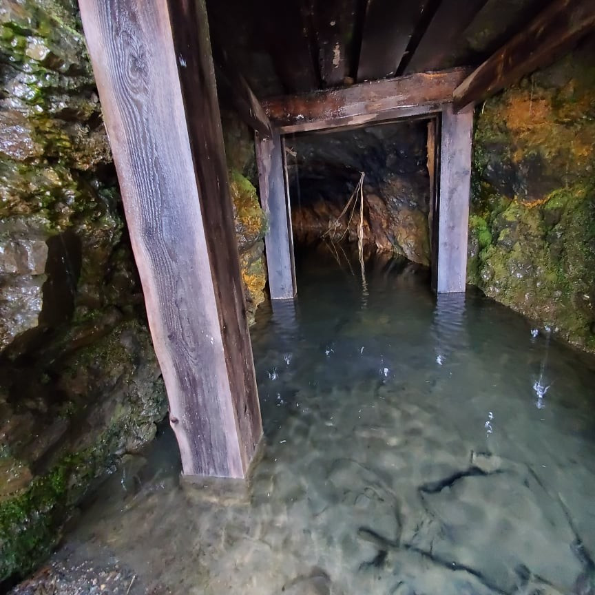 Home [www.sumpterrvpark.com]