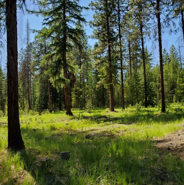 Home [www.sumpterrvpark.com]